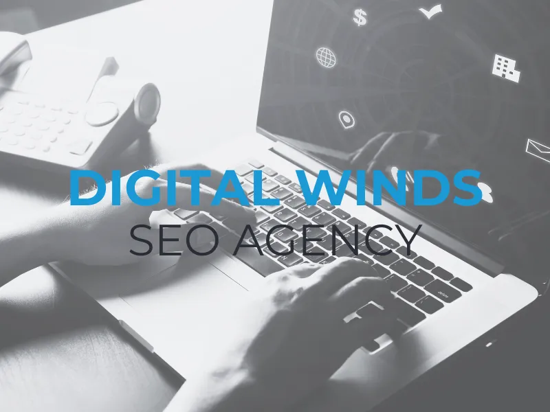 SEO Agency In Miami | Digital Winds | Agencia De SEO En Madrid
